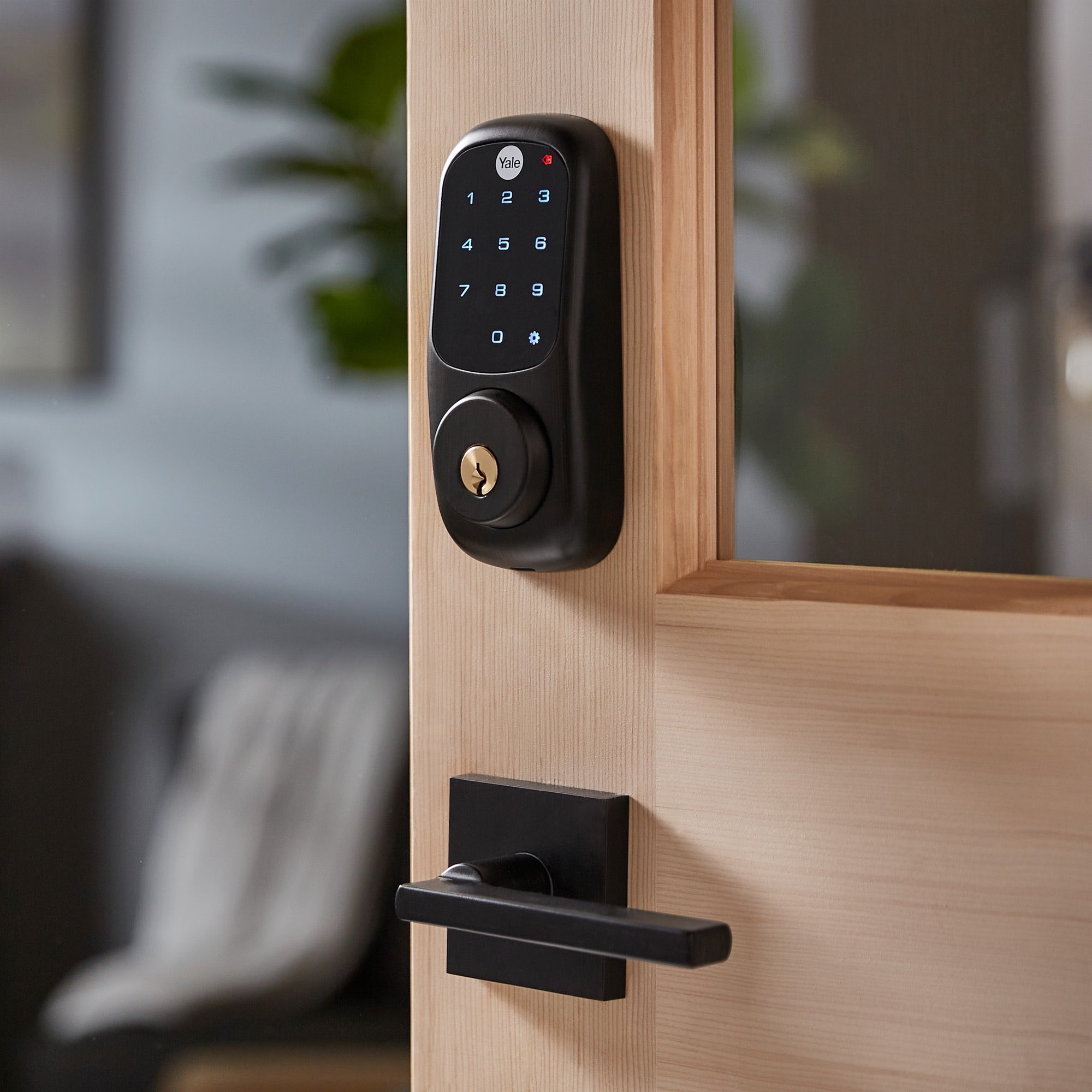 Level Up Your Home Security with Smart Locks – Skytech.io